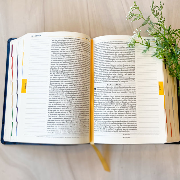 The Great Adventure Catholic Bible Second Edition | Notetaking Bible – Crossroads Collective