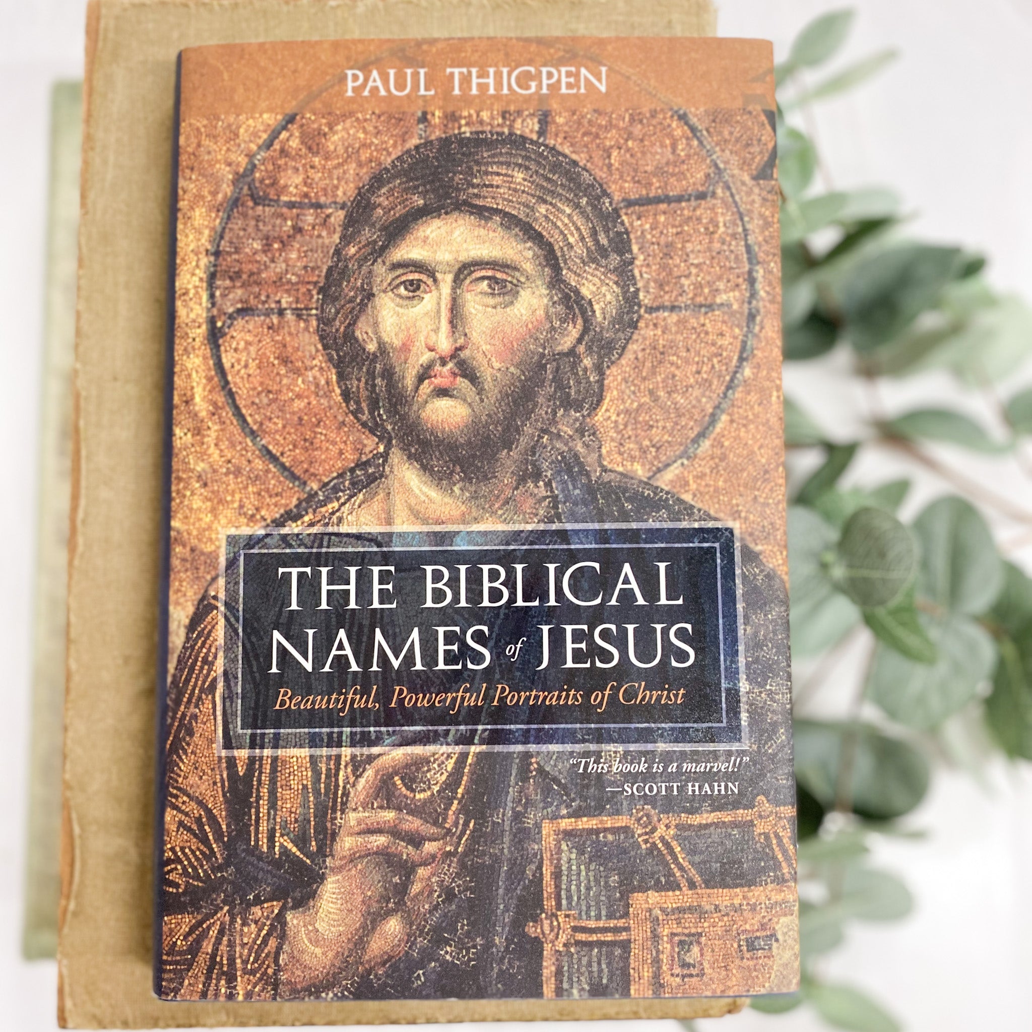 The Biblical Names of Jesus: Beautiful, Powerful Portraits of Christ ...